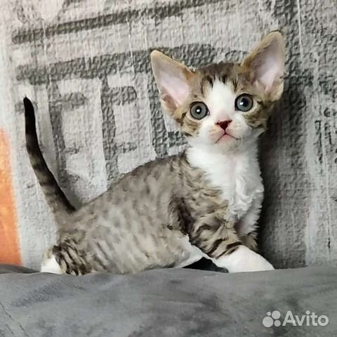 Кукольная девочка