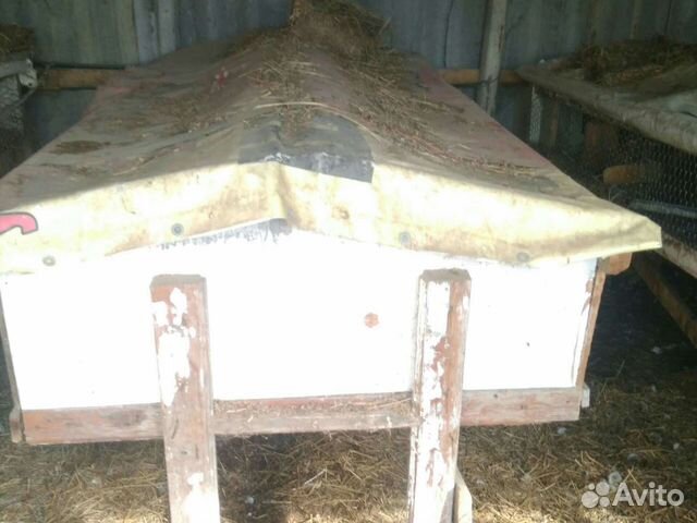 Продажа с х животных