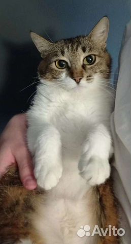 Беатрис надеется на чудо