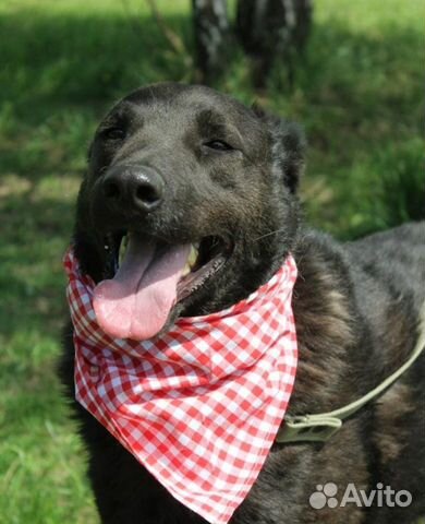 С детства сидит за решеткой замечательный Марк