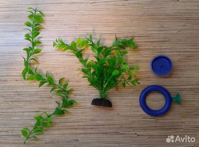 Искус.растение 30см, кормушка, Рогалистник, улитка