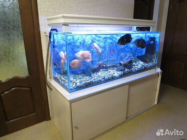 Аквариум на 470 л с панорамой, тумбой, аксессуары