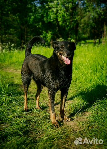 Зайчик хочет домой