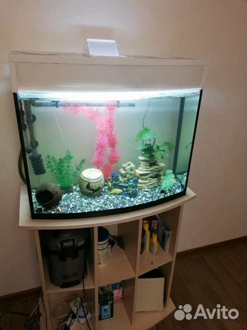 Панорамный аквариум Aqwaplus 115 л с тумбой и всем