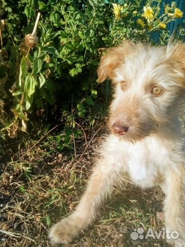 Марсель ищет дом