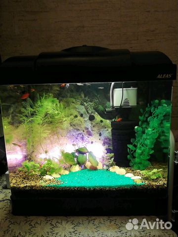 Аквариум
