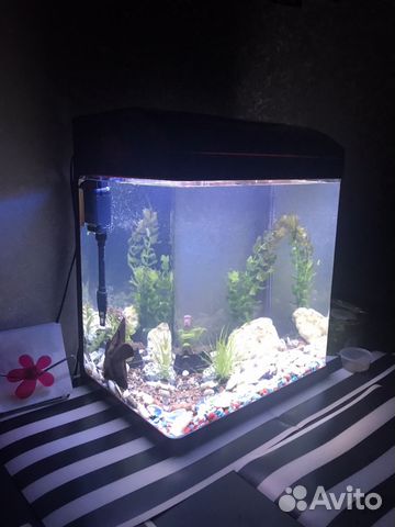 Аквариум