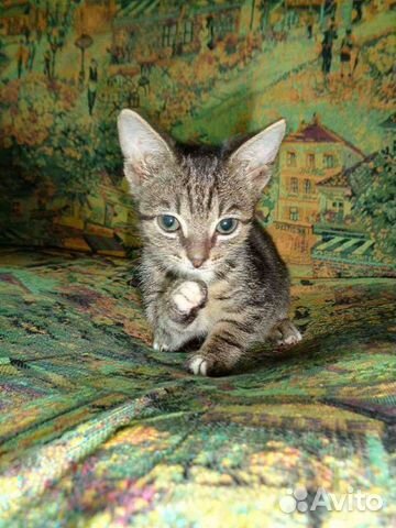 В хорошие руки