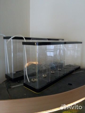 Аквариум выносной,демонстрационный