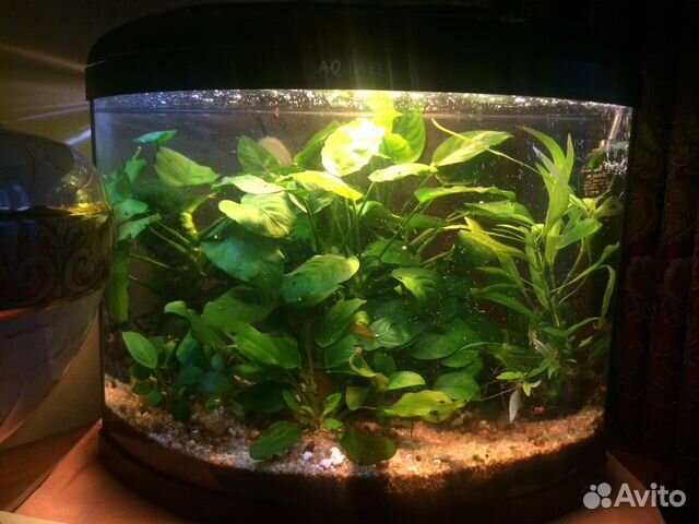 Аквариум Aquael 25л