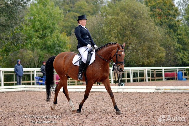 Продам лошадь