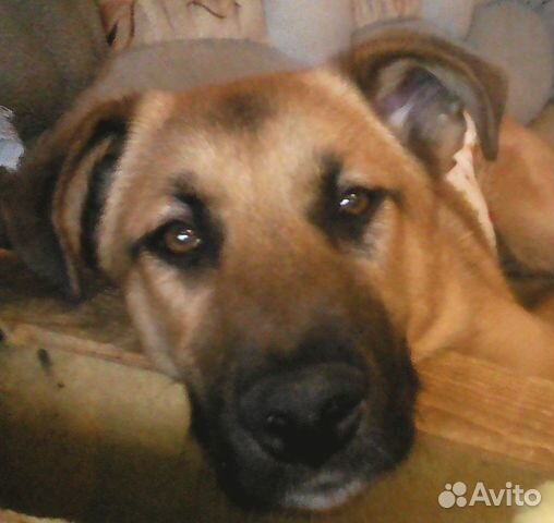 Буч - крутой парень