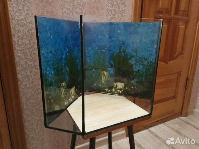 Продам угловой аквариум 42л