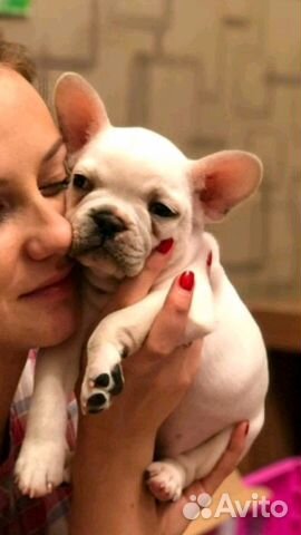 Машка- кремашка