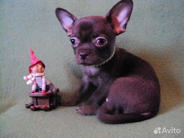 Мальчишки очаровашки