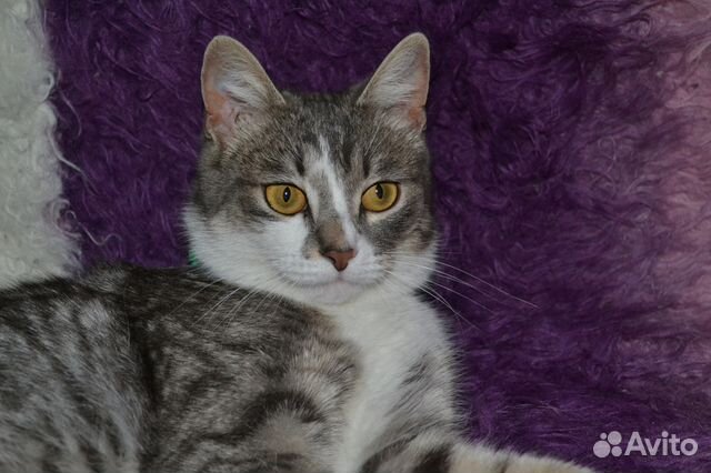 В заботливые руки