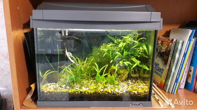 Аквариум Tetra 20 л