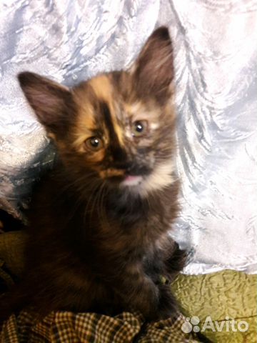 Маленькое Счастье