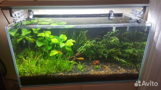 Продам готовый аквариум