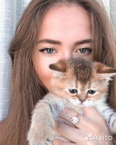 Котенок