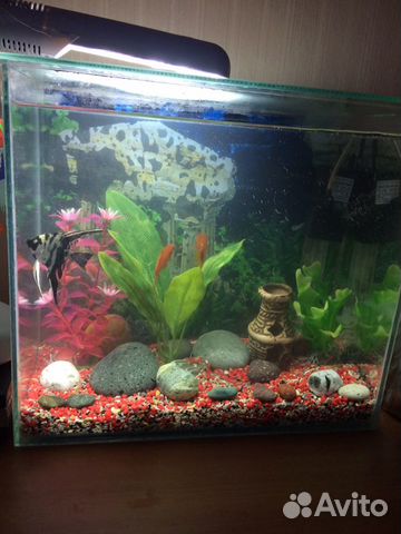 Аквариум 30 л
