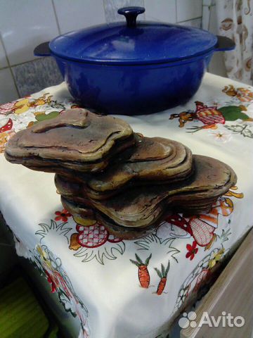 Грот для черепах