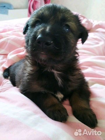 Мальчик красавчик