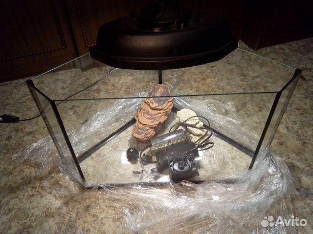 Аквариум угловой, 50 л. + аксессуары