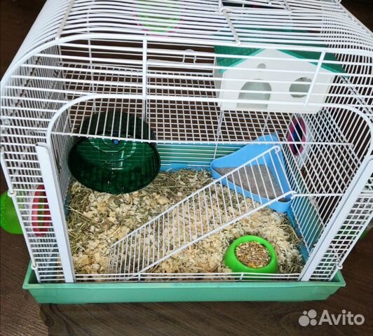 Клетка с сирийским хомяком