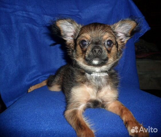 Красавец мальчишка ждет свою семью