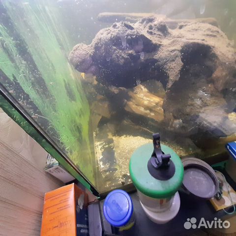 Продам аквариум 450л