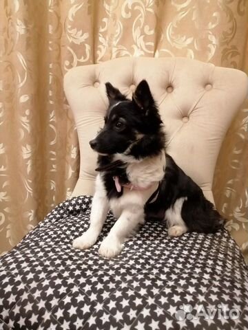 Зефирка 1Год 25 см