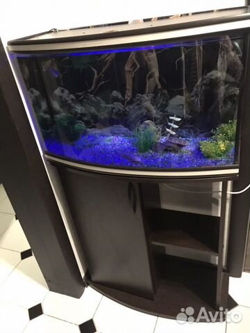 Аквариум 85 л с оборудованием и рыбками +тумба