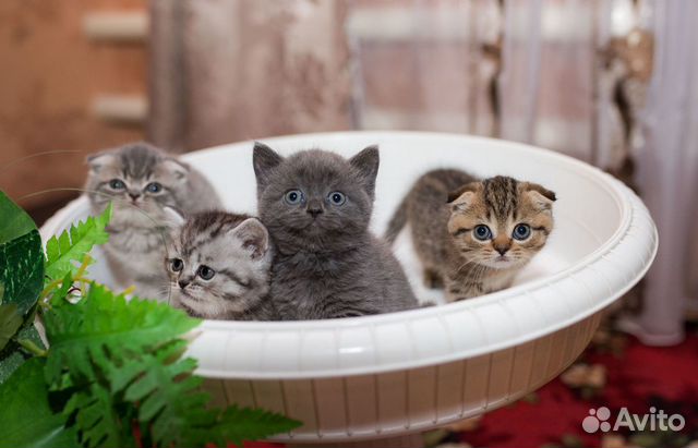 Классные ребята