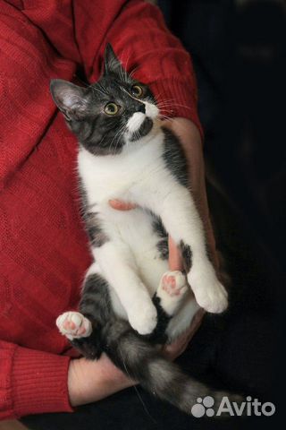 Кукляша 4.5 мес