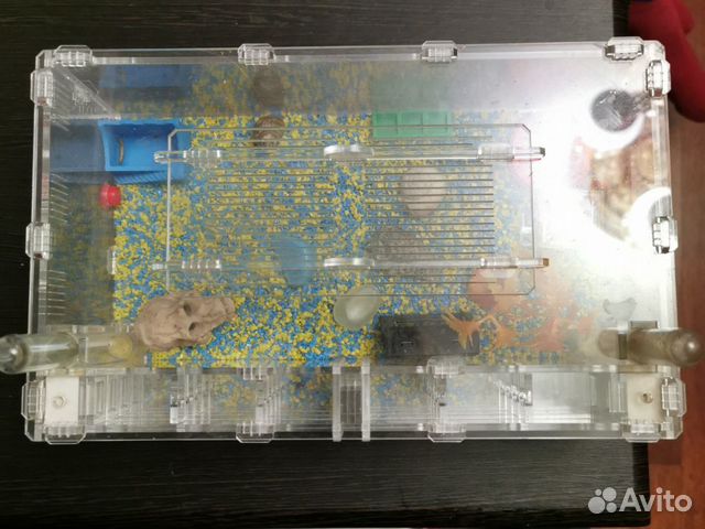 Старая муравьиная ферма (разбирается)