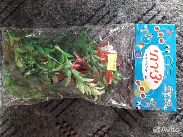 Водоросли декоративные