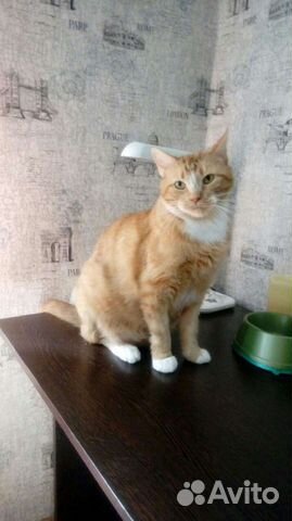 Рыжий богатырь 3.5 г