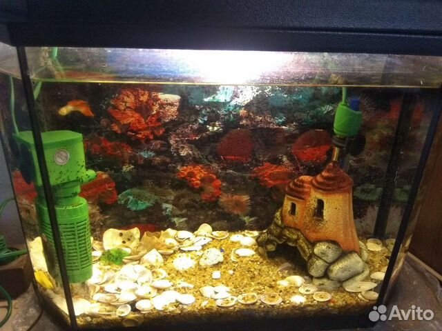 Аквариум, полный комплект