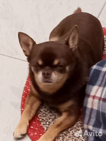 Серьезный парень чих ждет подругу