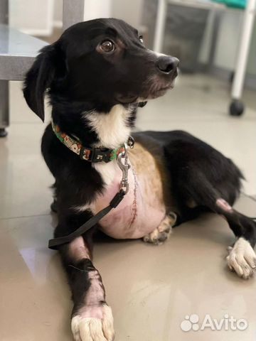 Особенный Егорка ищет дом