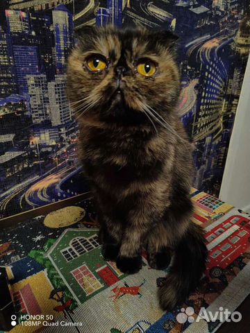 Экзотические