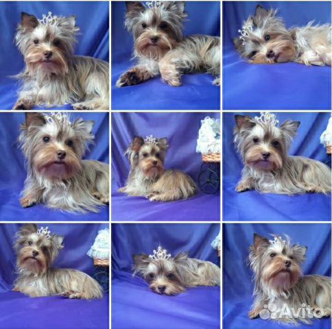 Одна на миллион