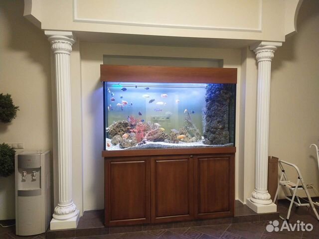 Аквариум,Аквариумные рыбки