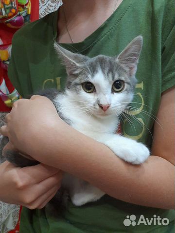 Изумительный малыш ищет свою семью