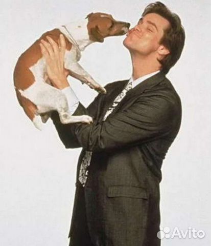 Обалденные Щенки Джеки