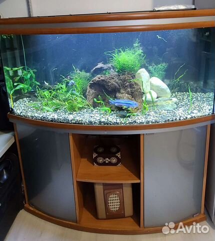 Аквариум панарамный с тумбой 300 литров