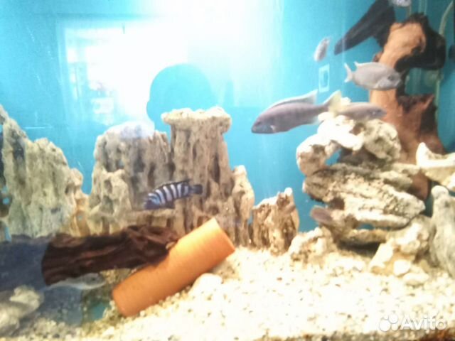 Украшение для аквариума