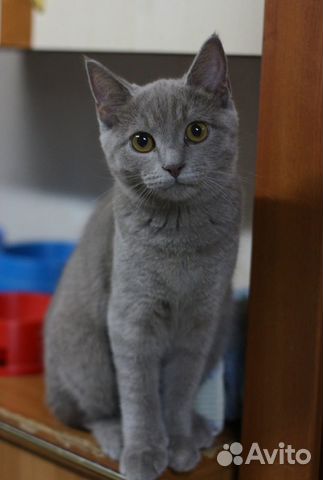 Малыш Ярик ищет семью