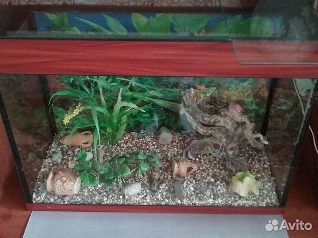 Аквариум